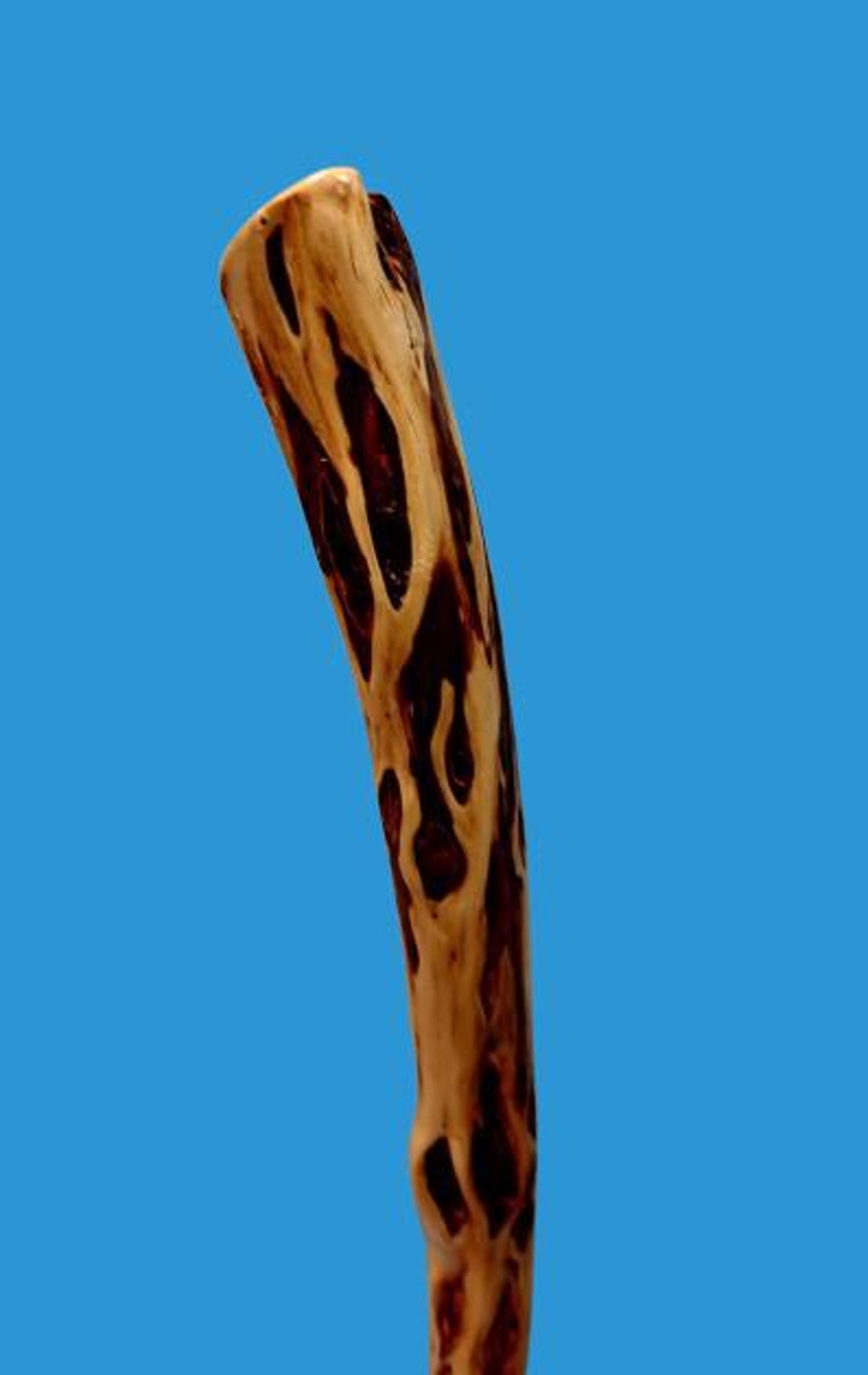 Diamond Willow Walking Stick / Hiking Stick - Etsy