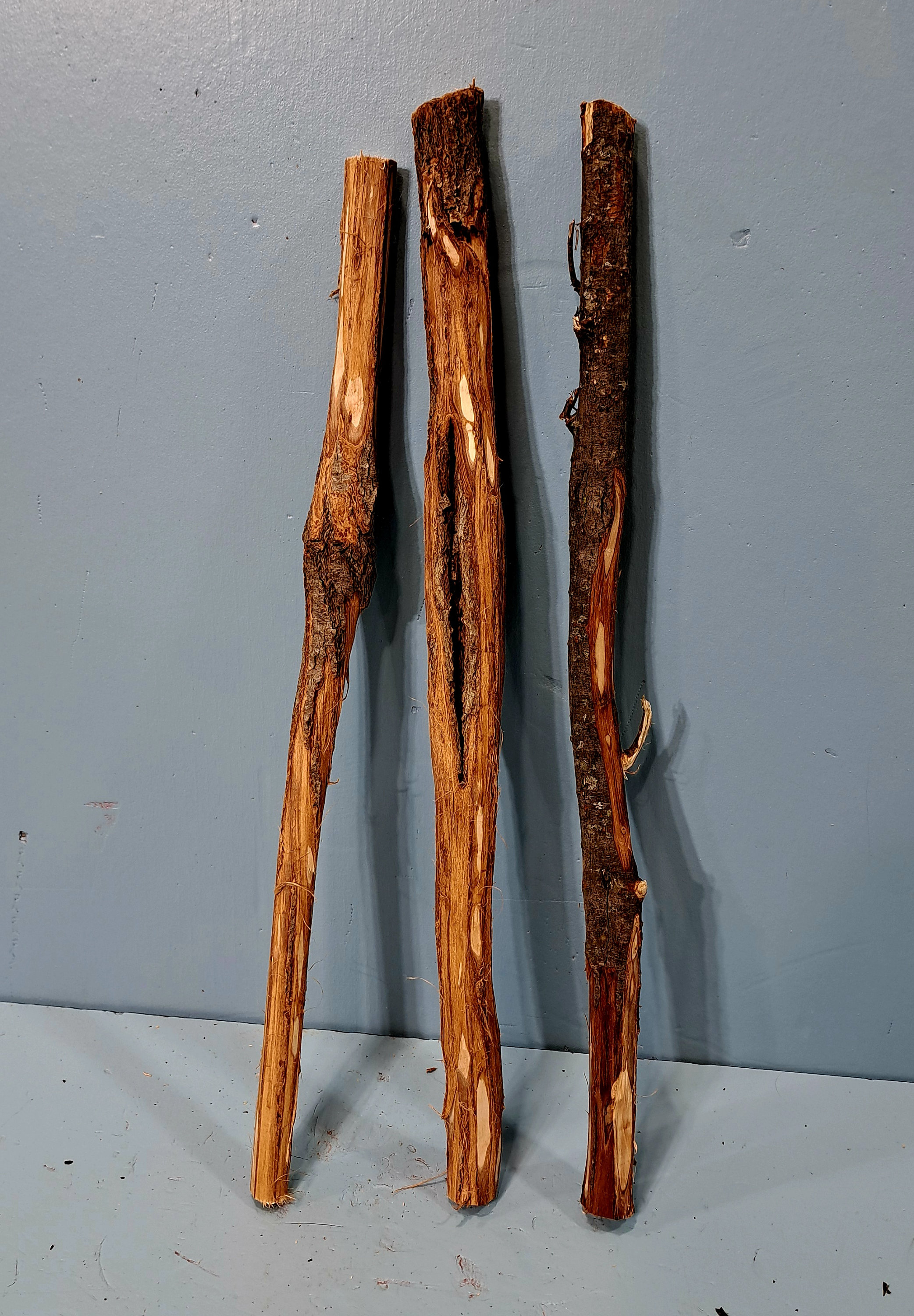 Diamond Willow Pieces / Magic Wands - Etsy