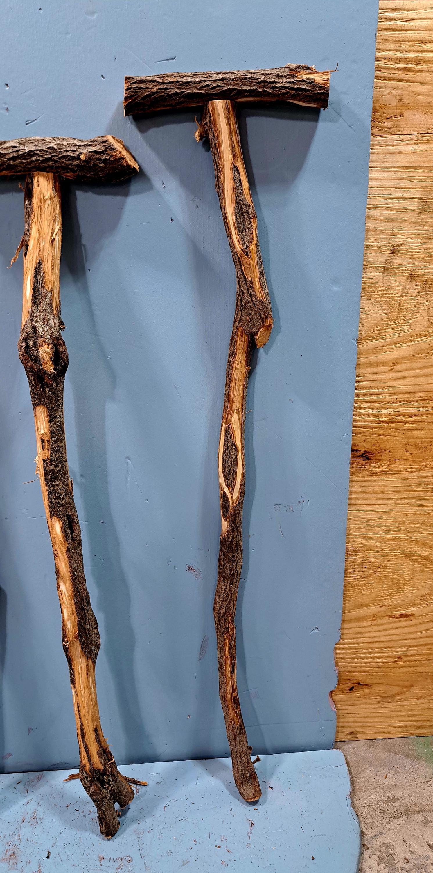 Diamond Willow DIY Cane Set - Etsy