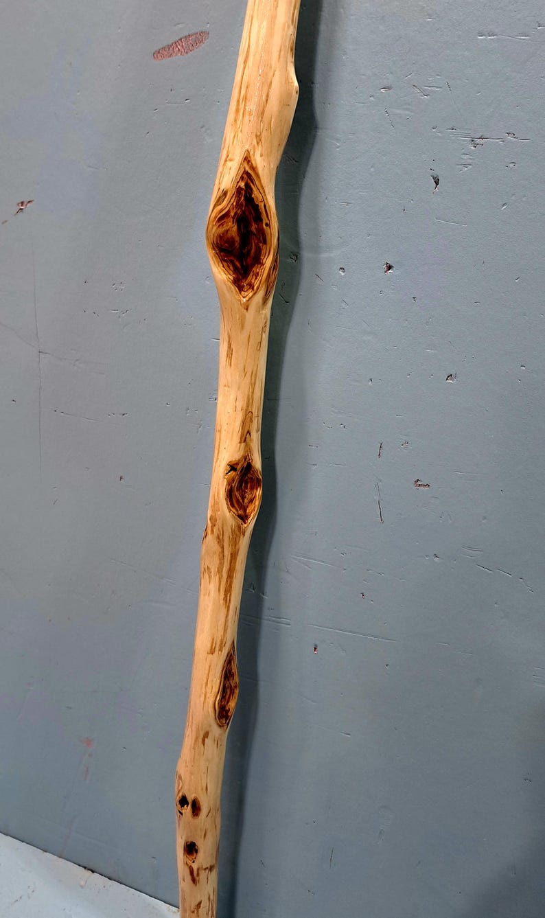 Diamond Willow Walking Stick / Hiking Stick / Staff - Etsy