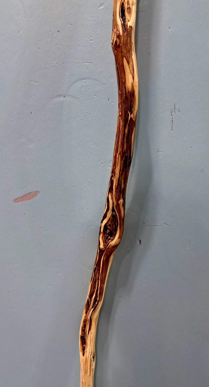 Diamond Willow Walking Stick / Hiking Stick - Etsy