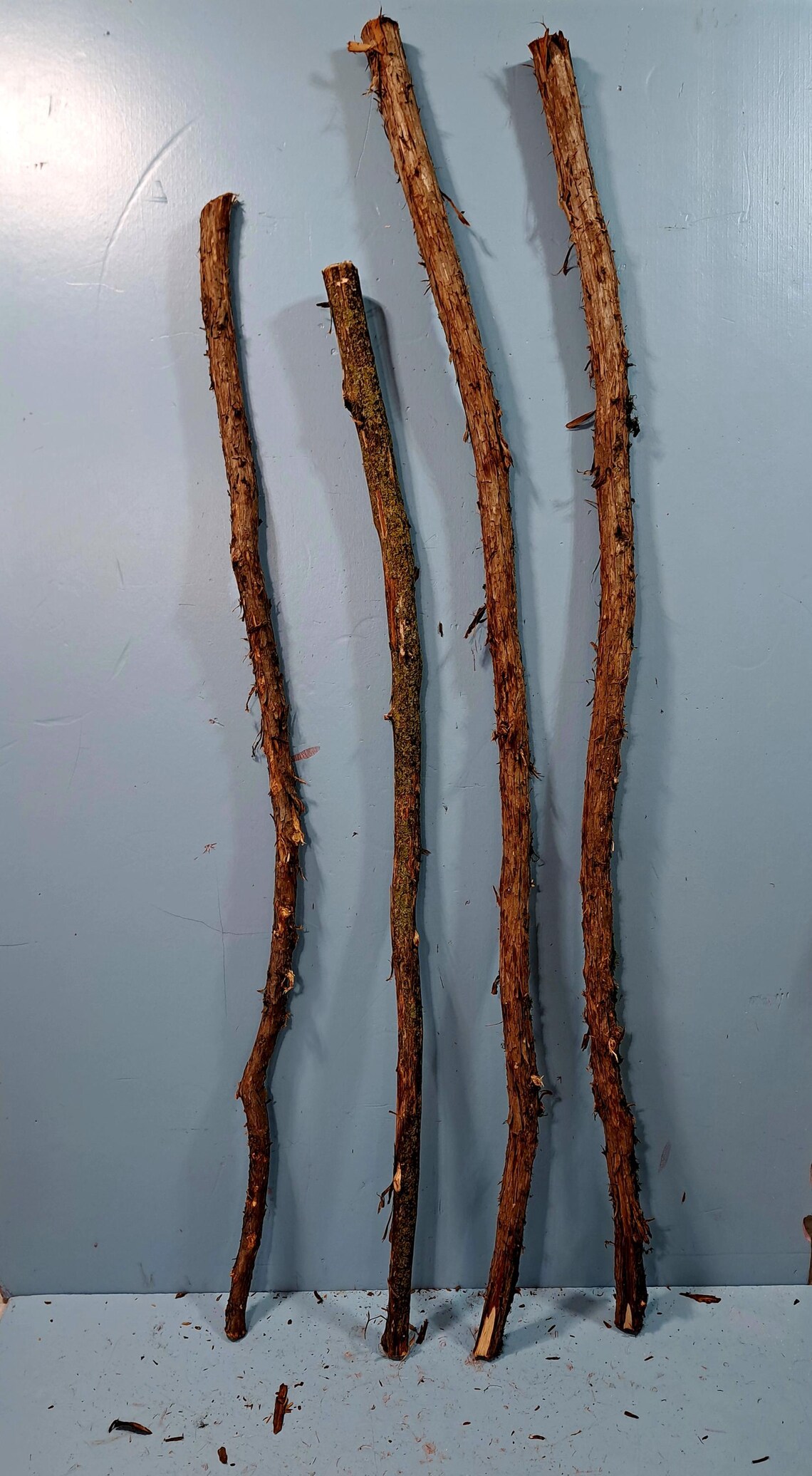 Cedar Walking Sticks / Cedar Decoration / Hiking Sticks - Etsy