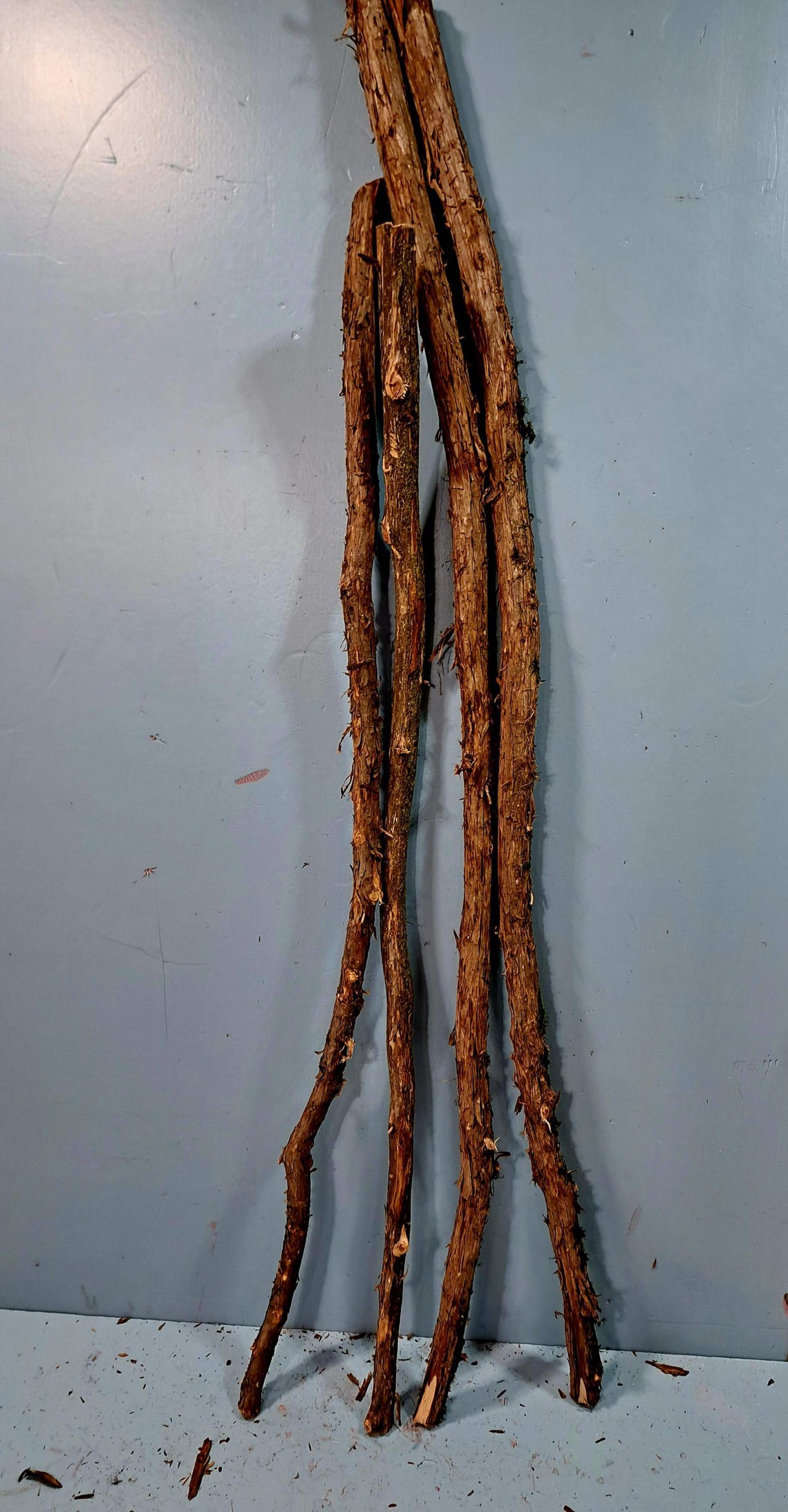 Cedar Walking Sticks / Cedar Decoration / Hiking Sticks - Etsy