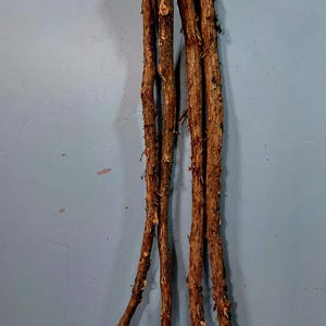 Cedar Walking Sticks / Cedar Decoration / Hiking Sticks - Etsy