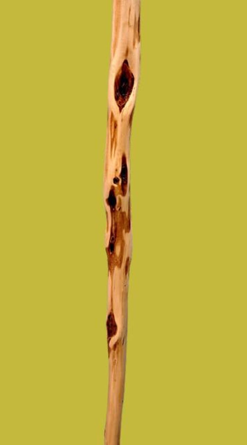 Diamond Willow Walking Stick / Hiking Stick - Etsy