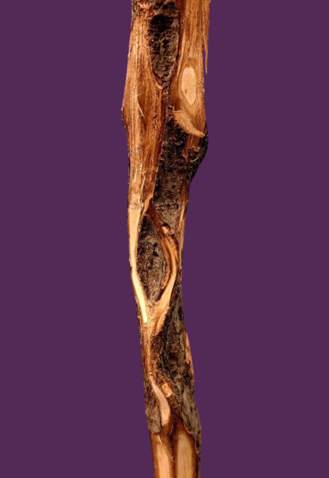 Diamond Willow Kids Blank Walking Stick / Diamond Willow Cane - Etsy