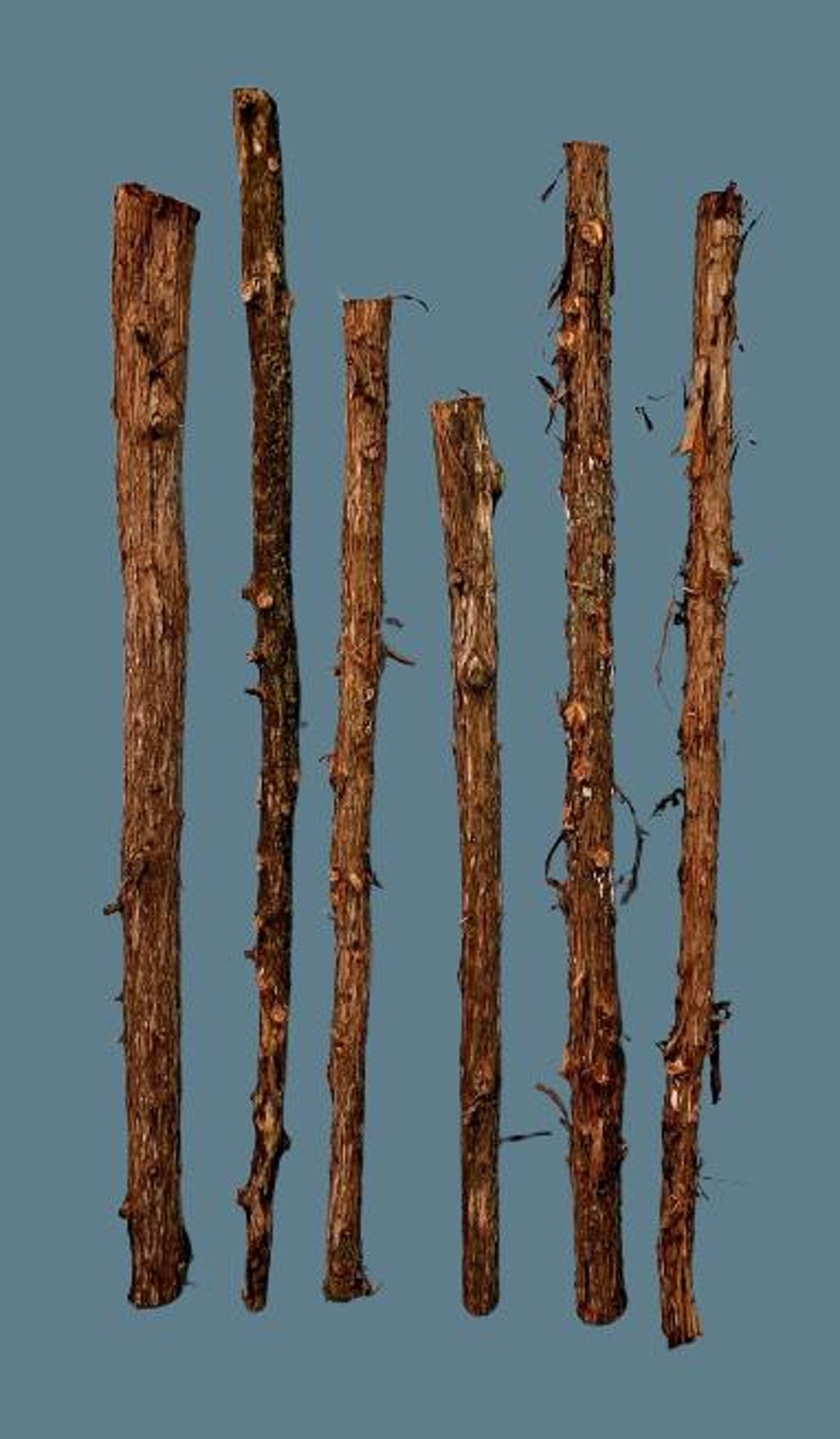 Cedar Logs / Cedar Sticks / Cedar Decoration - Etsy