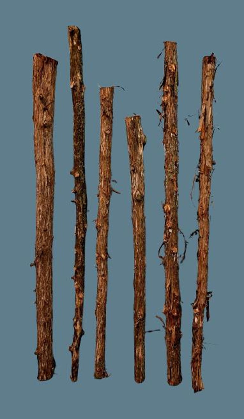 Cedar Logs / Cedar Sticks / Cedar Decoration - Etsy