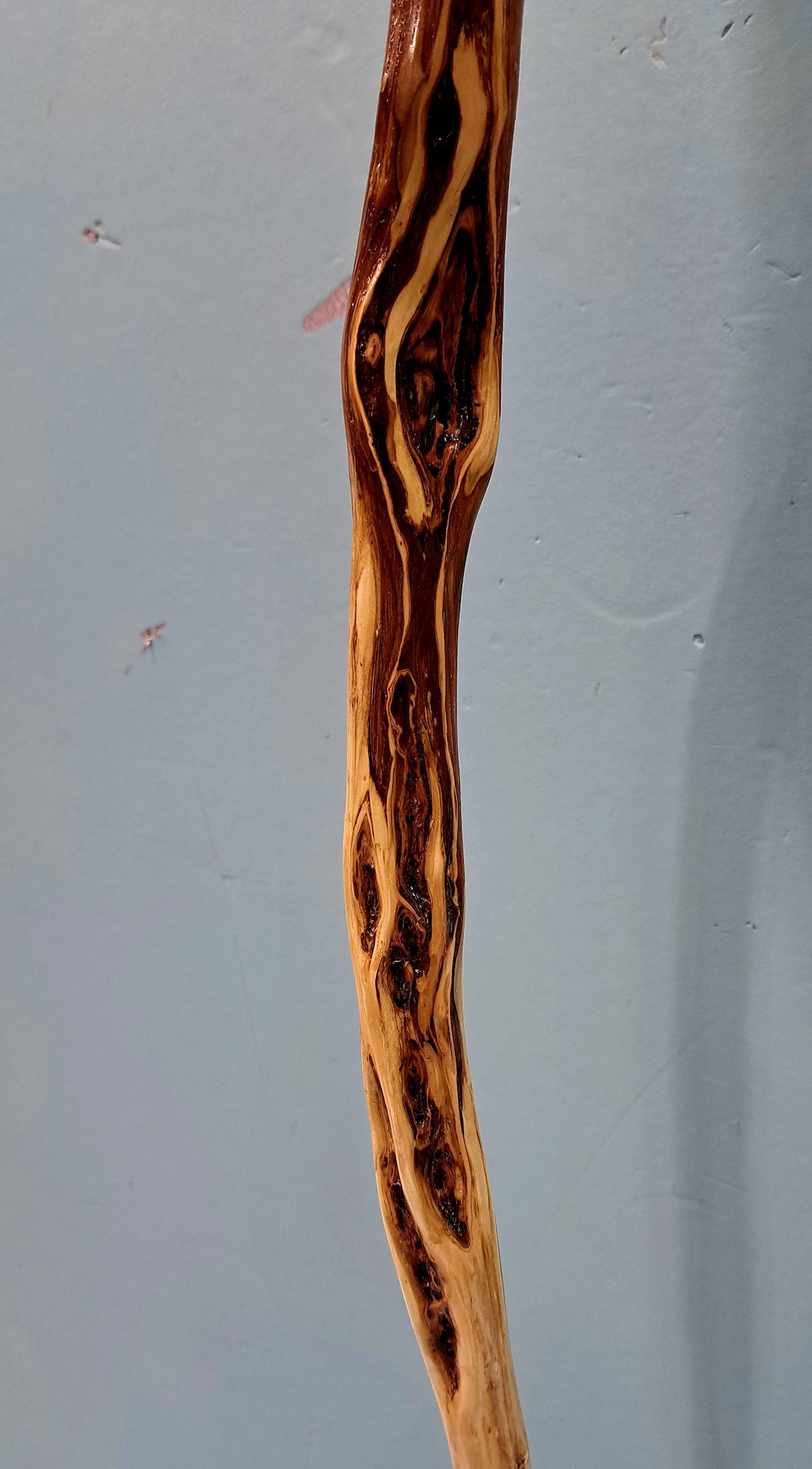 Diamond Willow Walking Stick / Hiking Stick - Etsy
