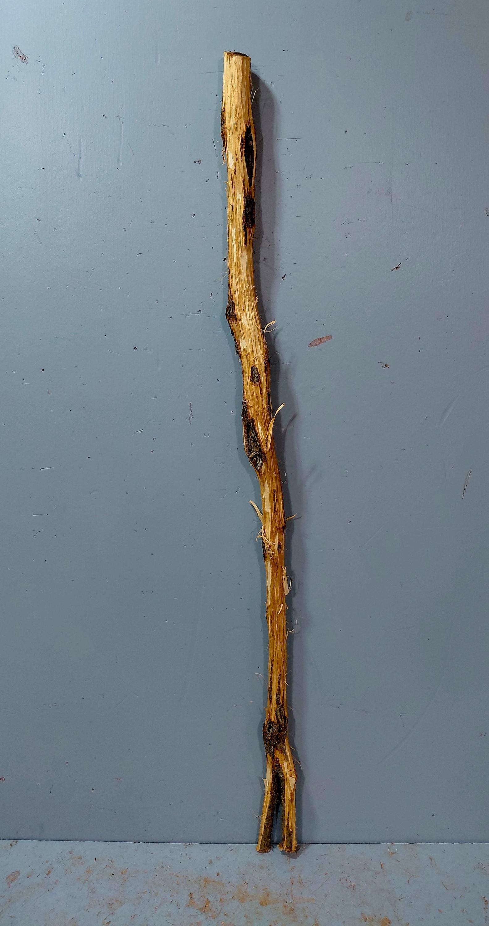 Diamond Willow Blank Walking Stick / Staff / Hiking Stick / DIY Stick ...