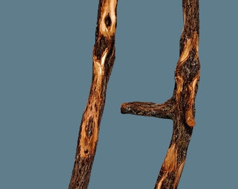 Diamond Willow - Etsy