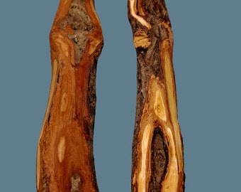 Diamond Willow - Etsy