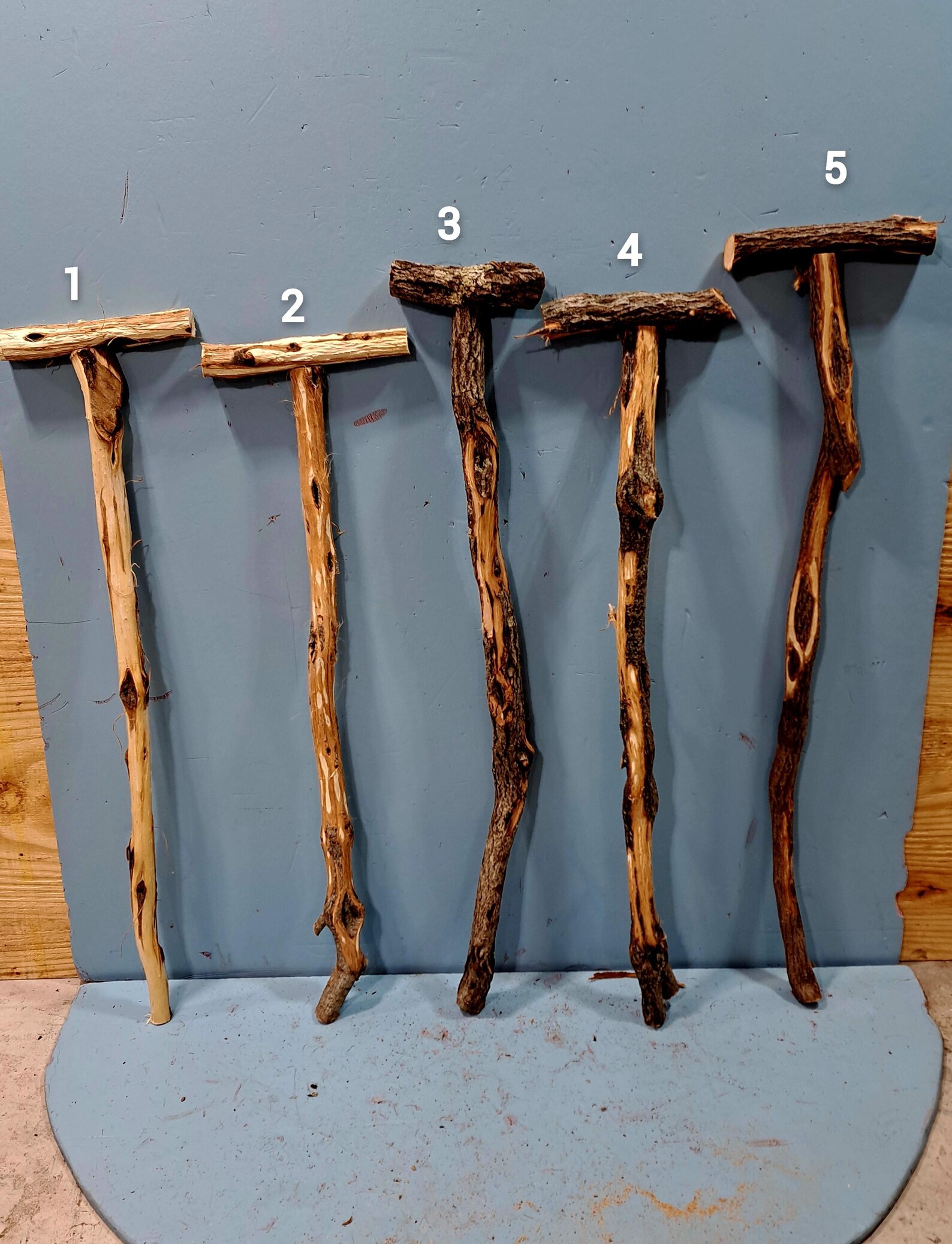 Diamond Willow DIY Cane Set - Etsy