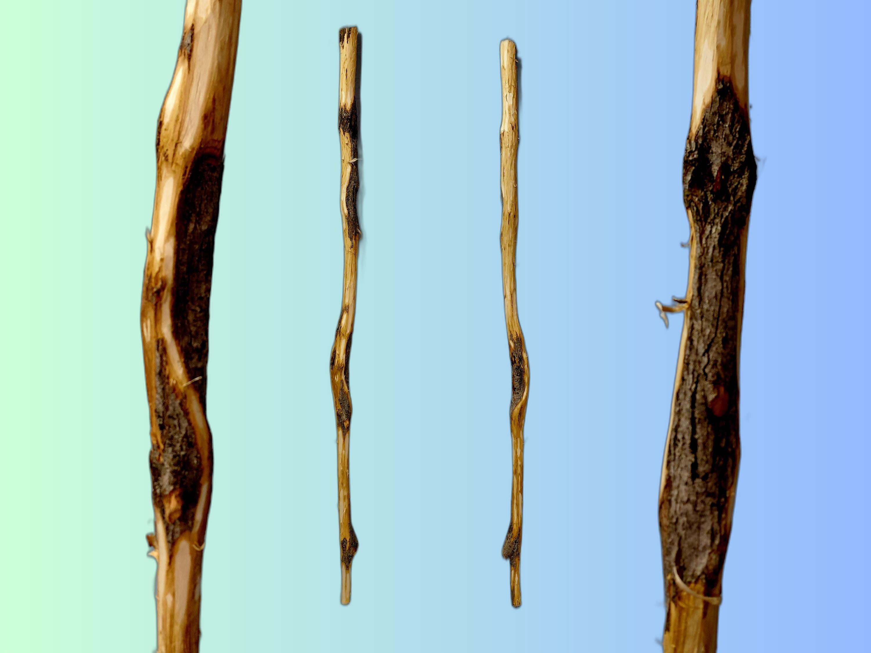 Diamond Willow Blank Walking Stick / Hiking Stick / DYI - Etsy