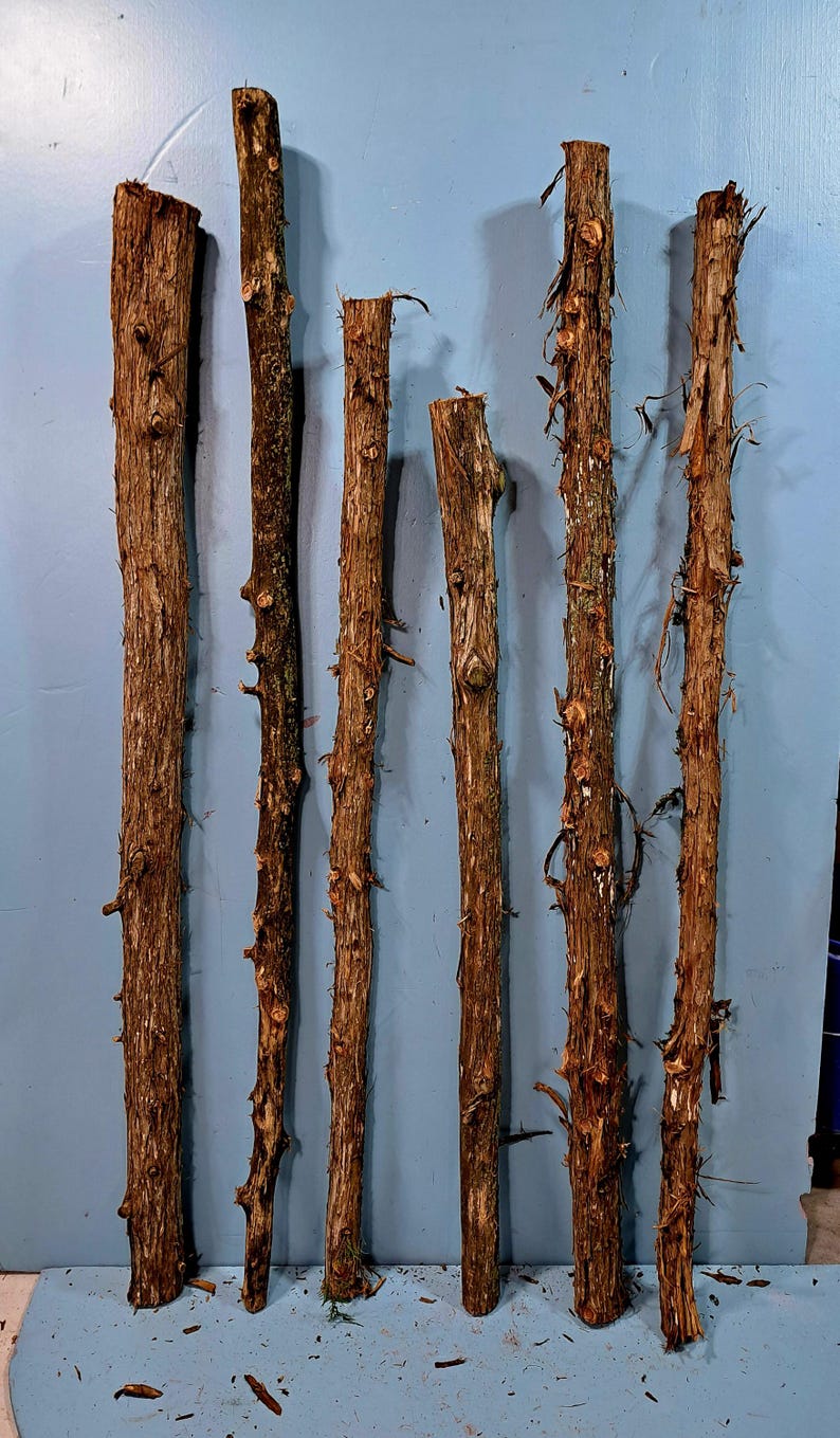 Cedar Logs / Cedar Sticks / Cedar Decoration - Etsy