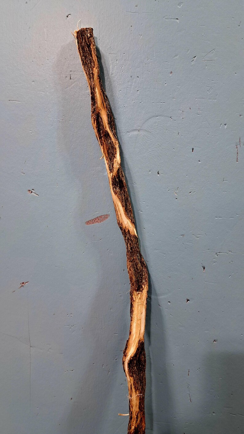 Diamond Willow DIY Kids Walking Stick / Hiking Stick - Etsy