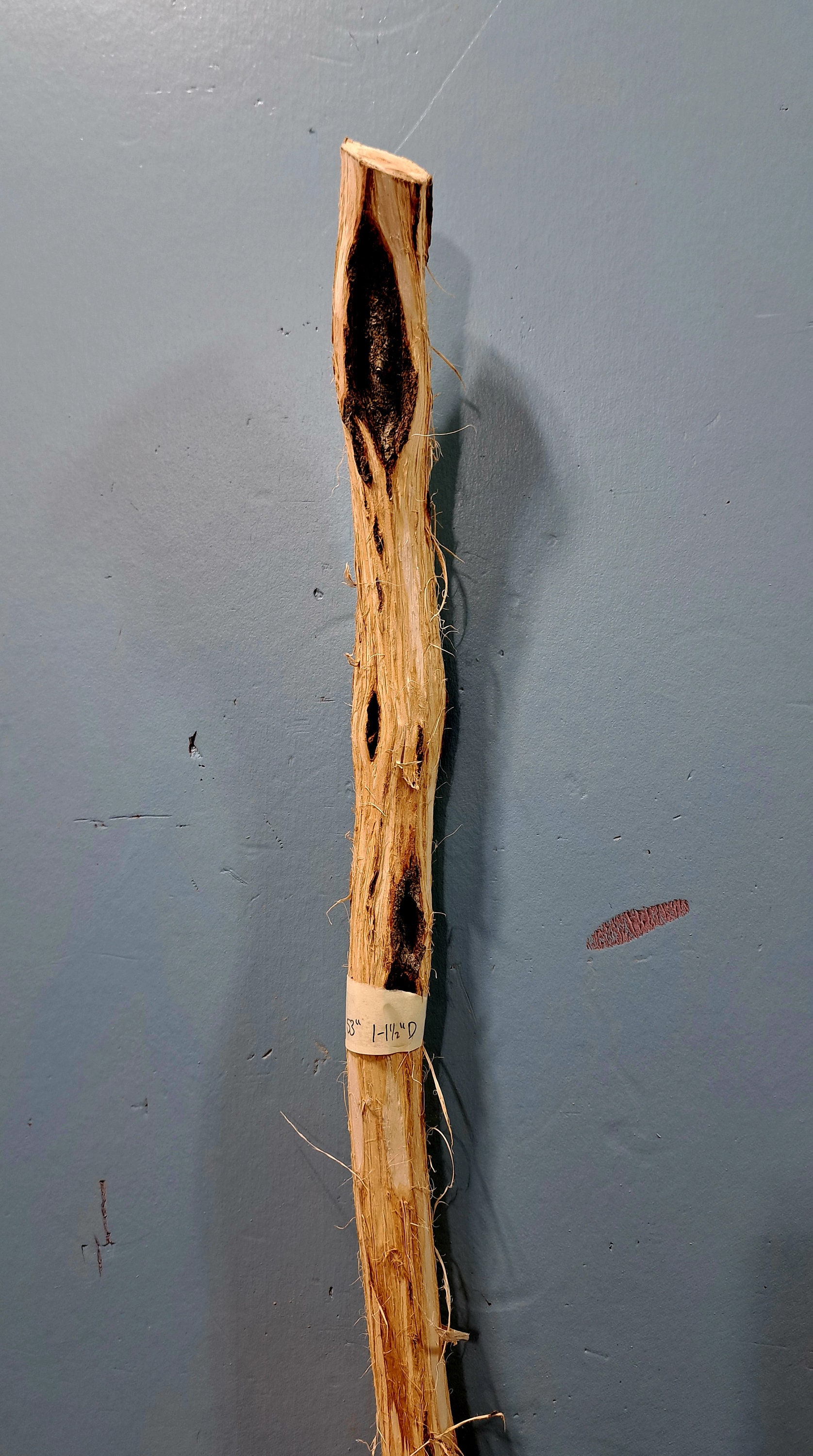 Diamond Willow Blank Walking Stick / Walking Cane - Etsy