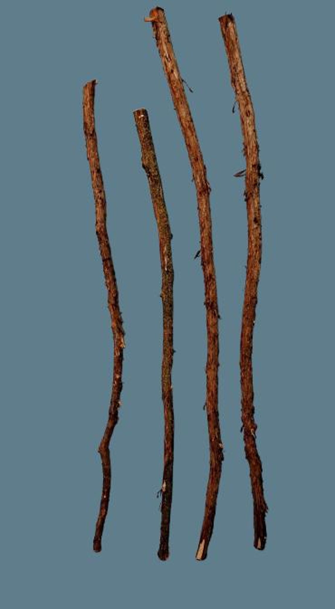 Cedar Walking Sticks / Cedar Decoration / Hiking Sticks - Etsy