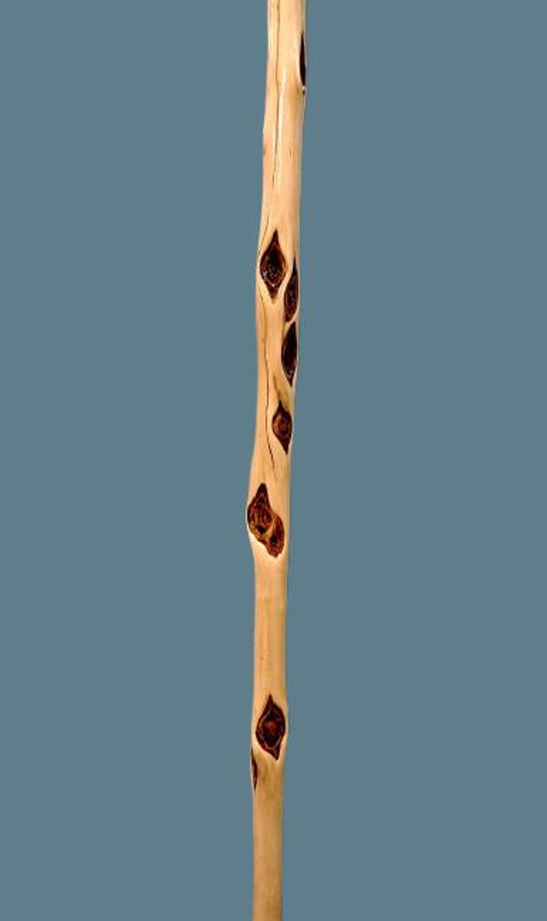 Diamond Willow Walking Stick / Hiking Stick - Etsy