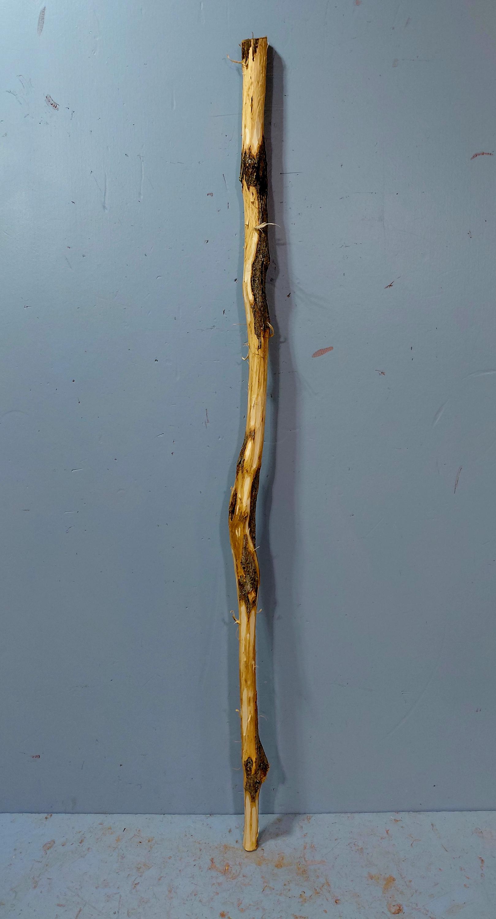 Diamond Willow Blank Walking Stick / Hiking Stick / DYI - Etsy