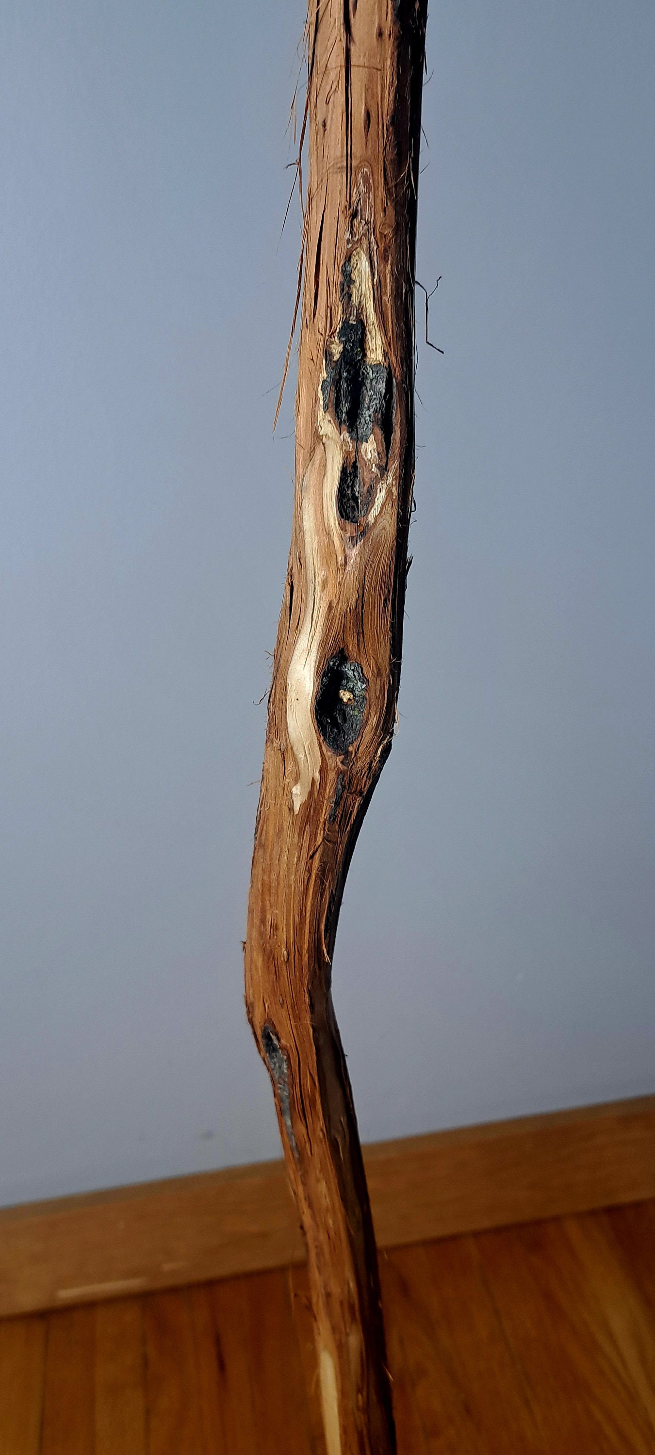 Diamond Willow Walking Stick - Etsy