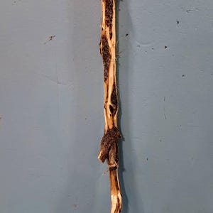 Diamond Willow Blank Walking Stick / Hiking Stick - Etsy