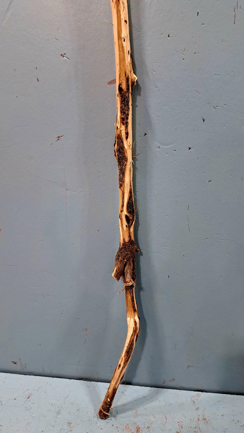 Diamond Willow Blank Walking Stick / Hiking Stick - Etsy