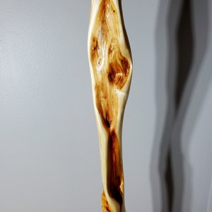 Diamond Willow Walking Stick - Etsy