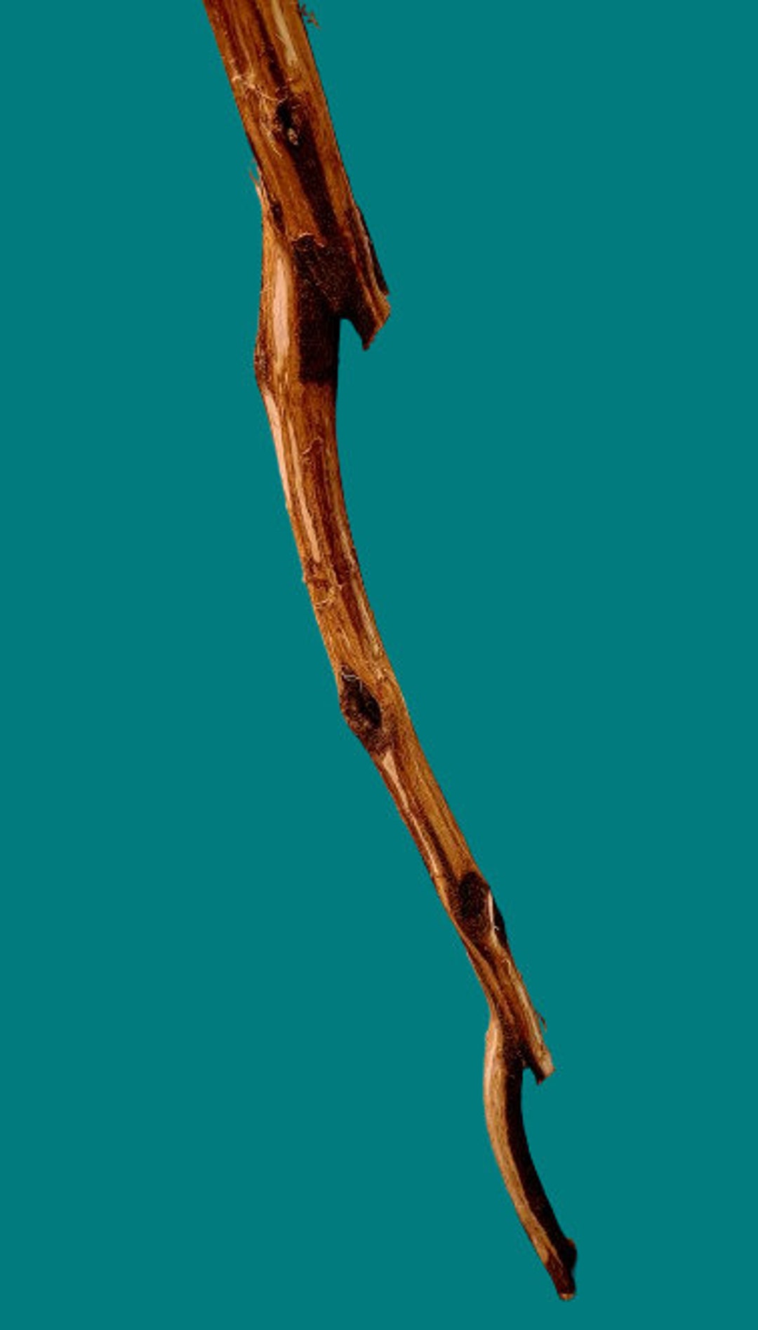 Diamond Willow Blank Walking Stick / Walking Cane - Etsy