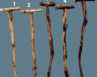 Diamond Willow Cane / Walking Stick - Etsy