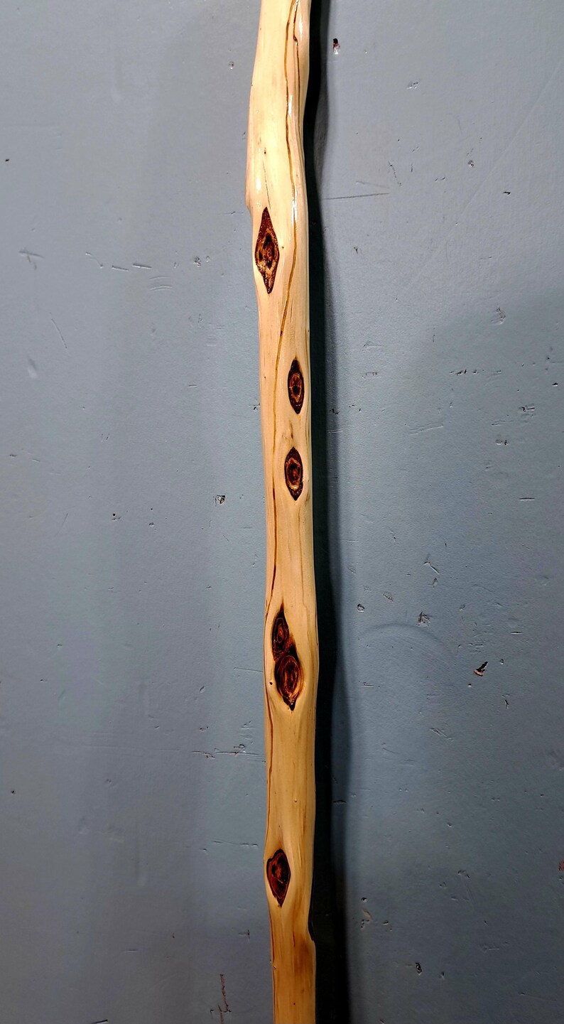 Diamond Willow Walking Stick / Hiking Stick - Etsy
