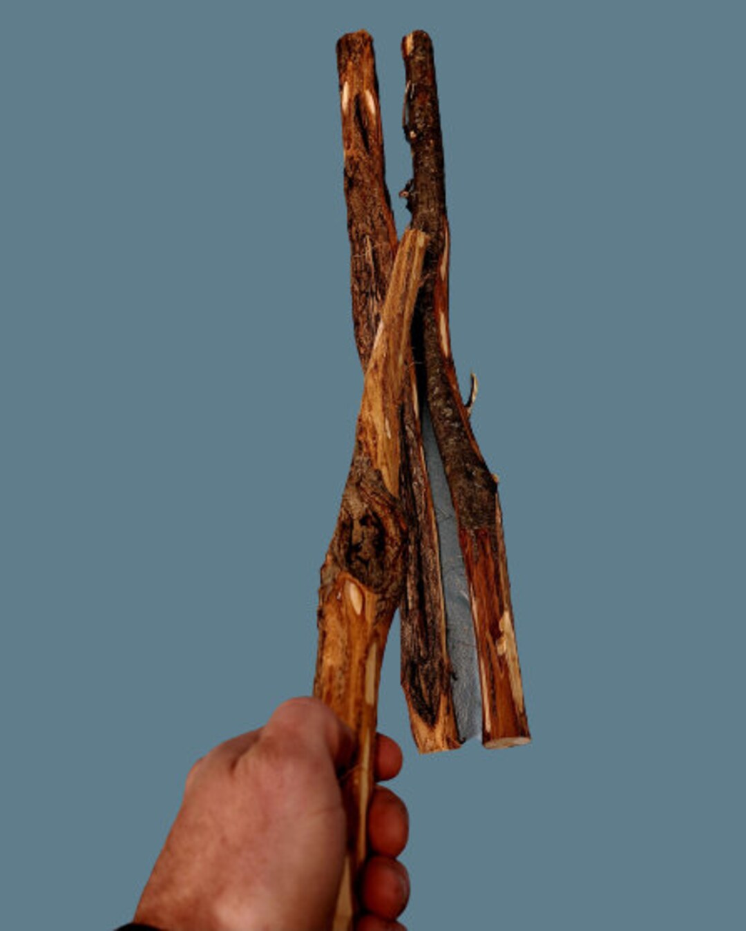 Diamond Willow Pieces / Magic Wands - Etsy