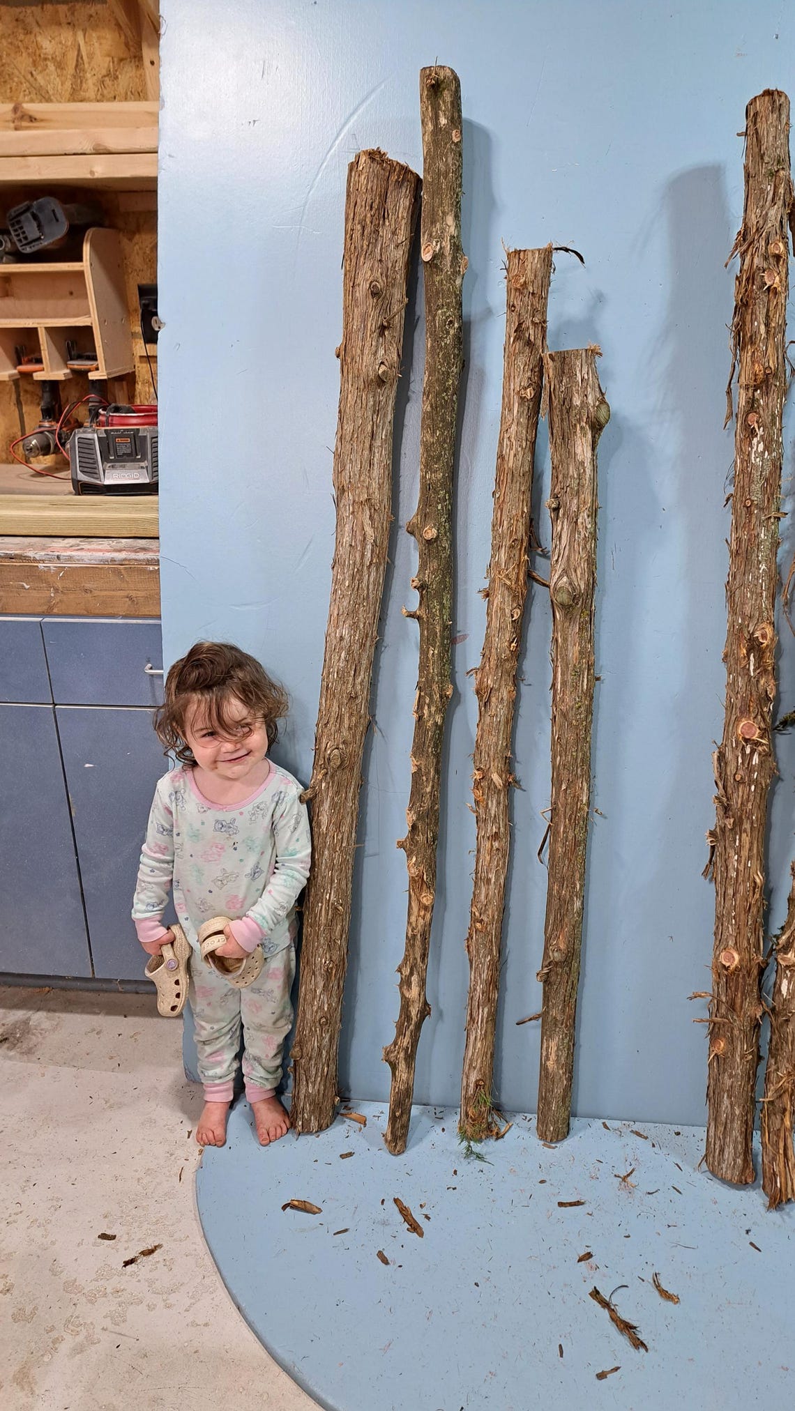 Cedar Logs / Cedar Sticks / Cedar Decoration - Etsy