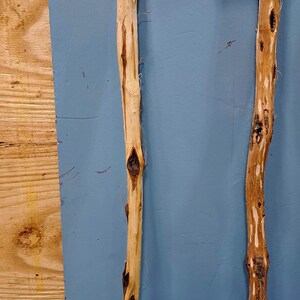 Diamond Willow DIY Cane Set - Etsy