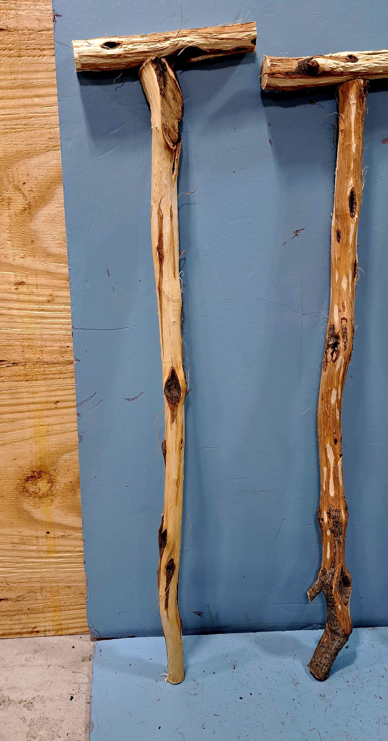 Diamond Willow DIY Cane Set - Etsy