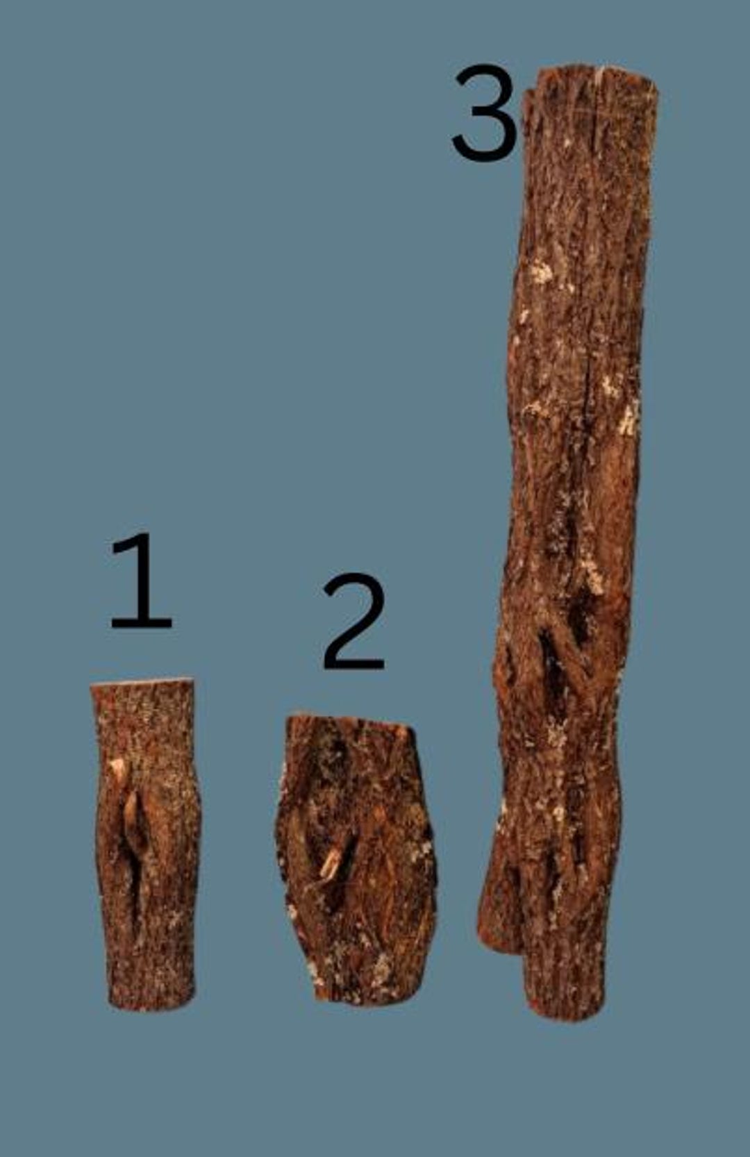 Diamond Willow Logs / Peices - Etsy