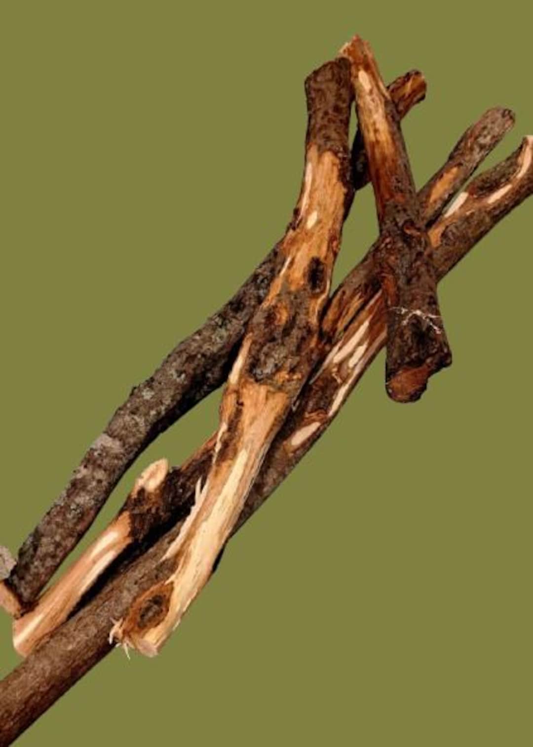 Diamond Willow Peices **5 PACK** / Carving / Whittling / Decoration - Etsy