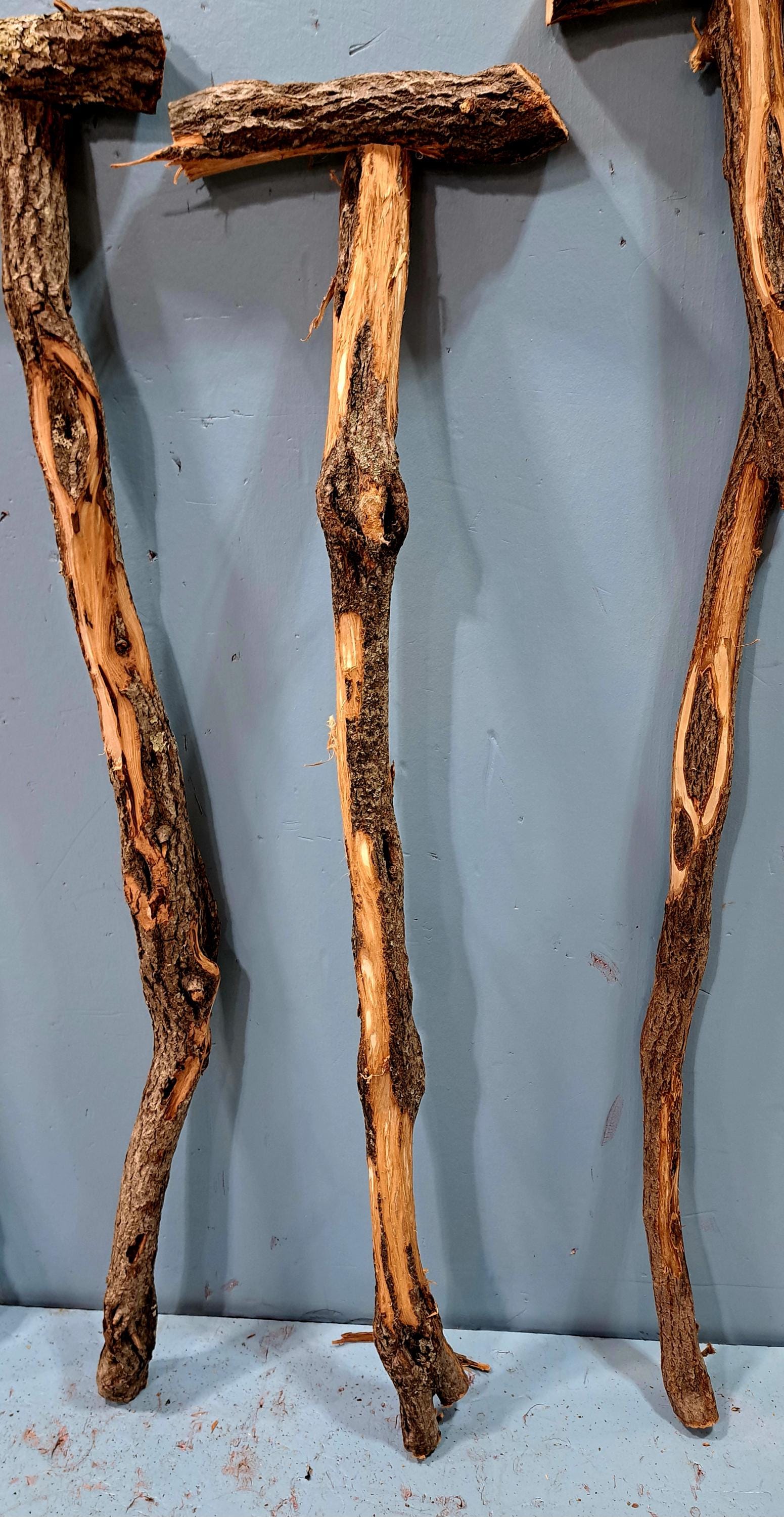 Diamond Willow DIY Cane Set - Etsy