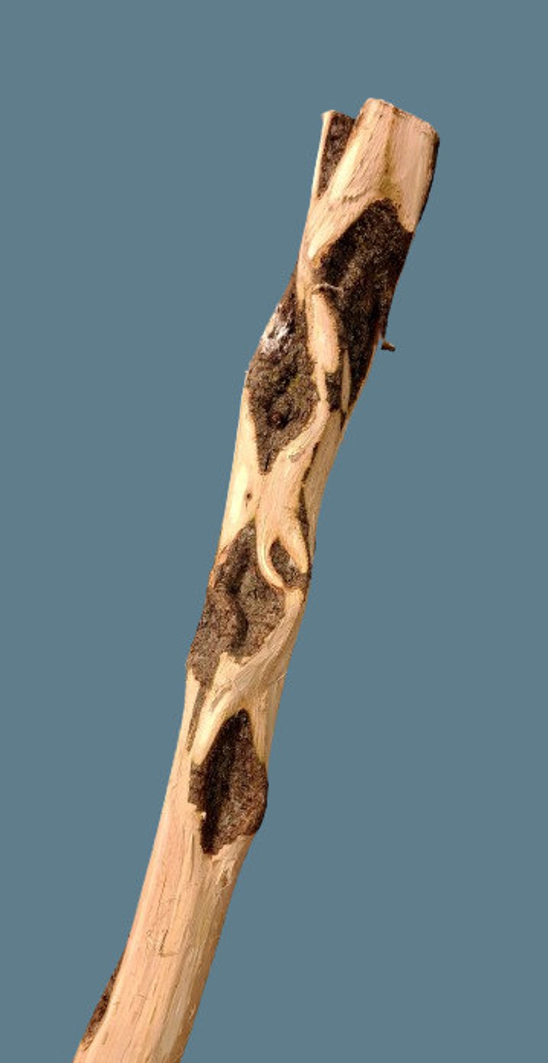 Diamond Willow Blank Walking Stick / Staff / Hiking Stick - Etsy