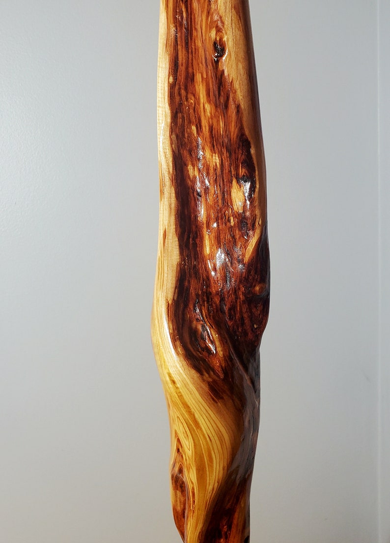 Diamond Willow Walking Stick - Etsy