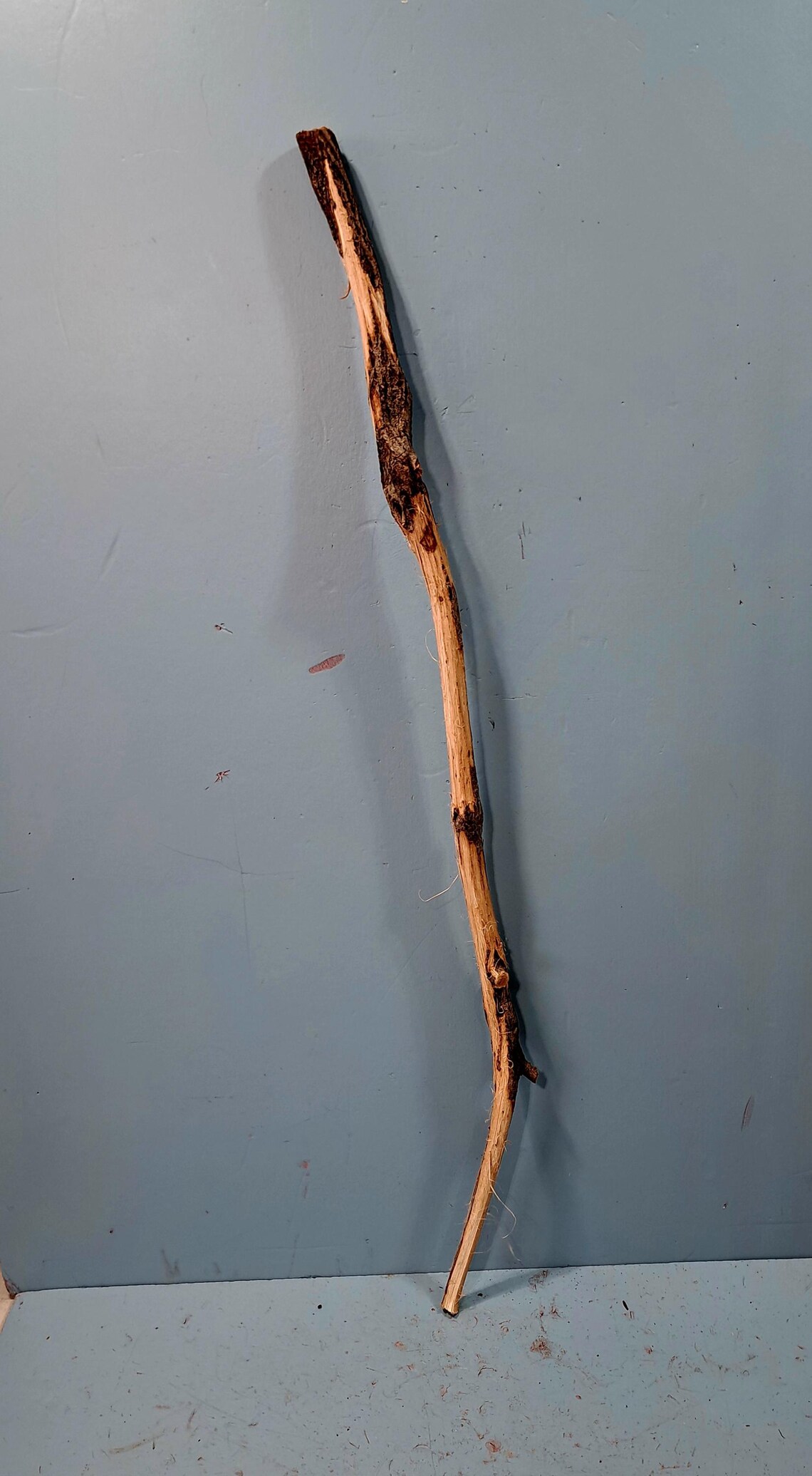 Diamond Willow Blank Walking Stick / Hiking Stick / DIY Walking Stick ...