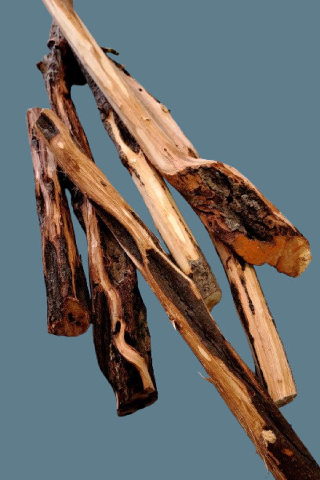 Diamond Willow Pieces / 6 Pack of Diamond Sticks - Etsy