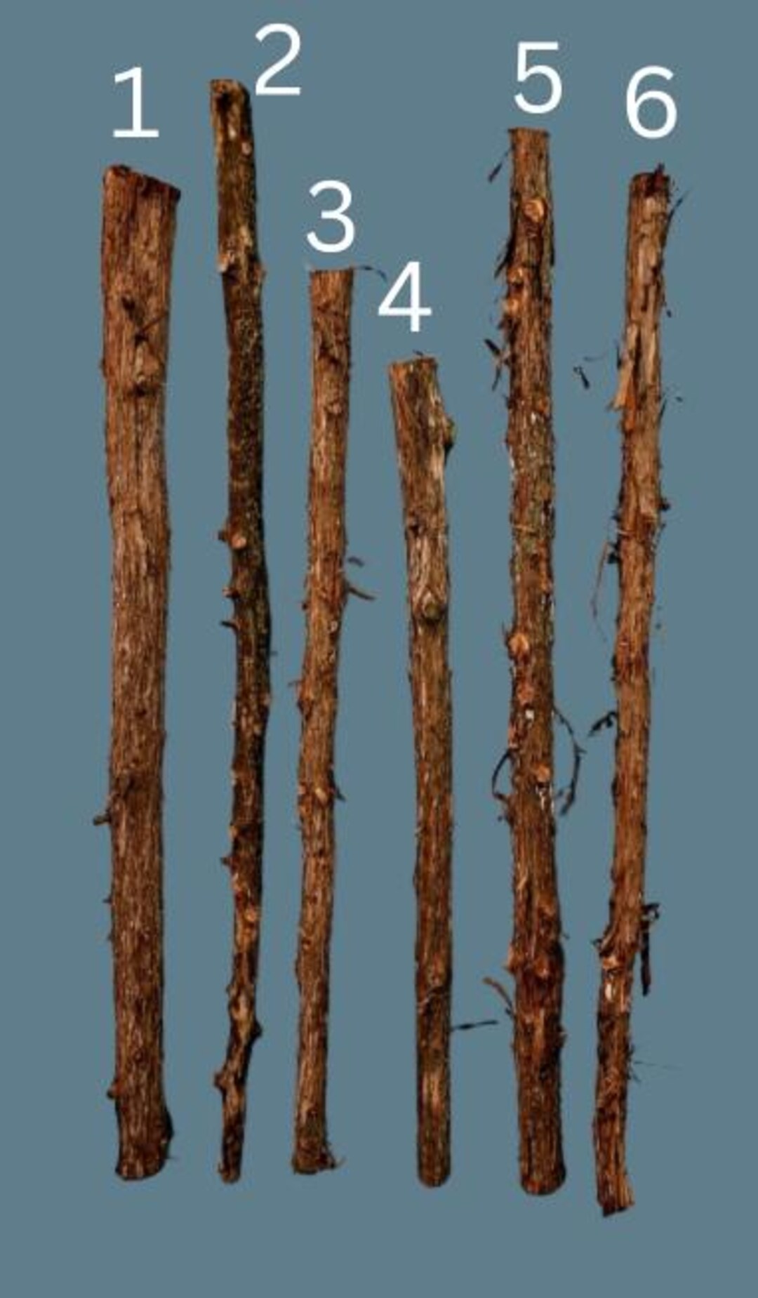 Cedar Logs / Cedar Sticks / Cedar Decoration - Etsy