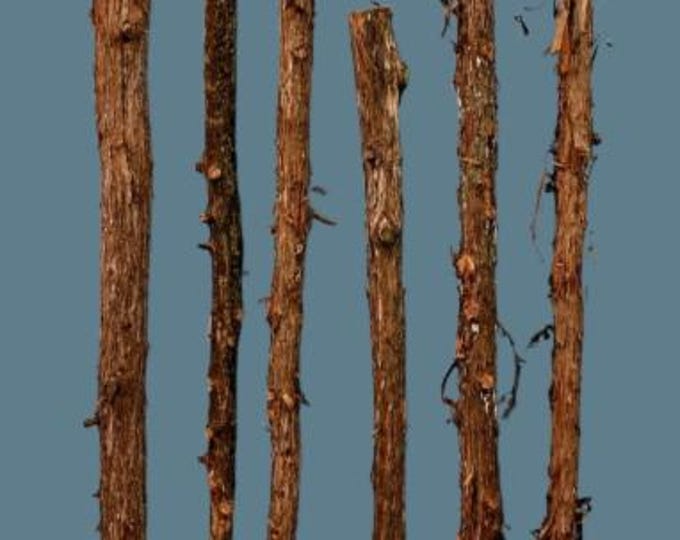 Cedar Logs / Cedar Sticks / Cedar Decoration - Etsy