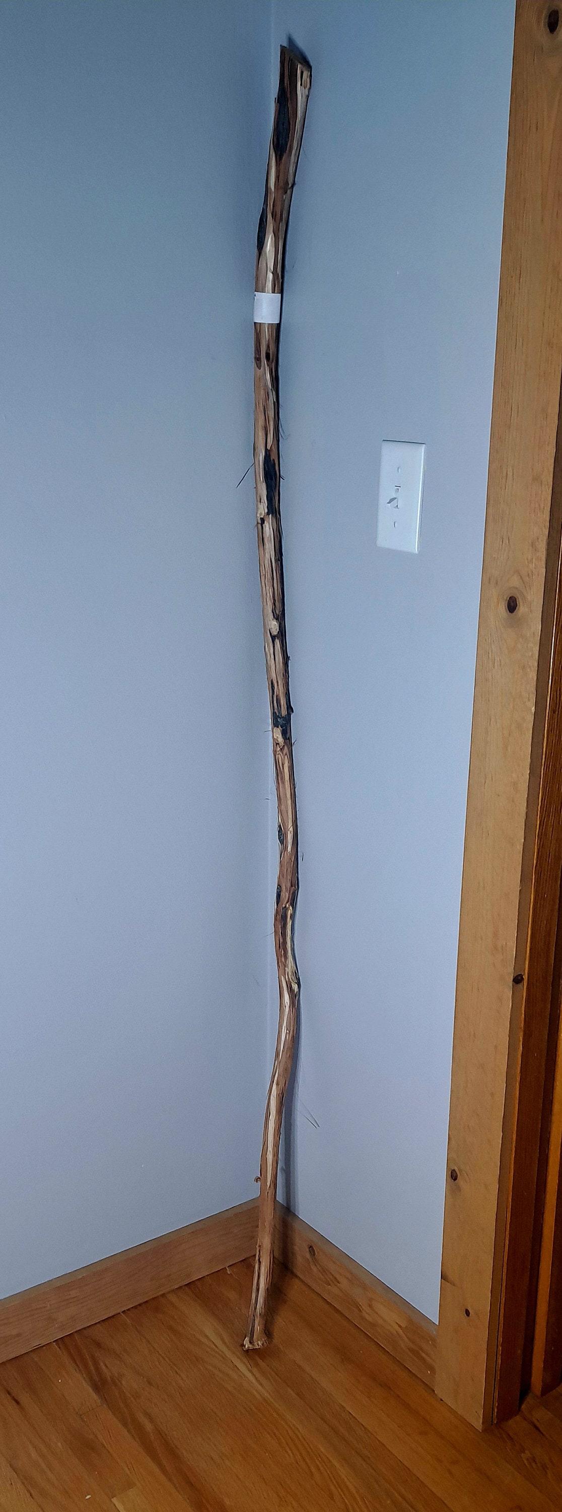 Diamond Willow Walking Stick - Etsy