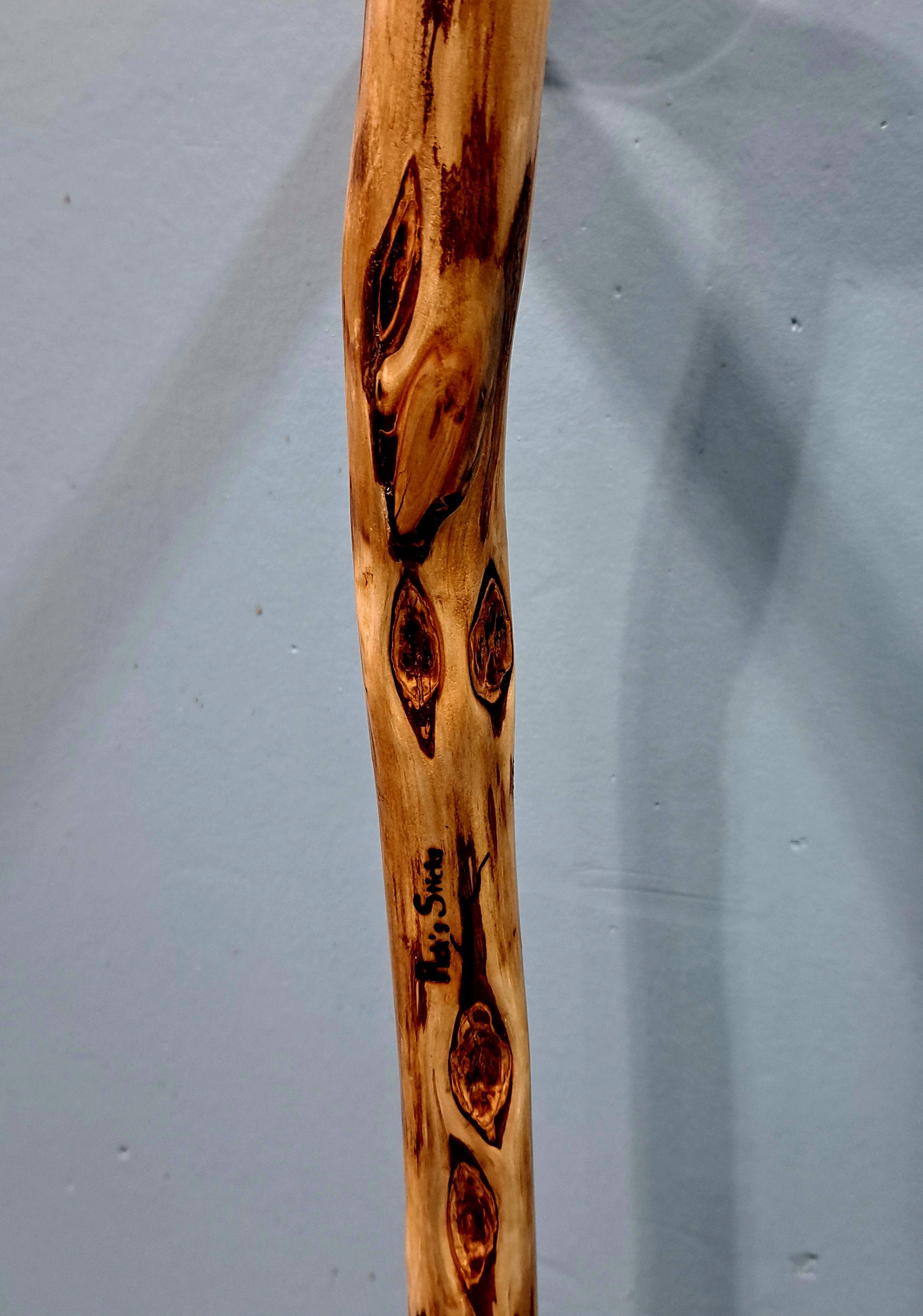 Diamond Willow Cane, Walking Cane, Gift for Him or Her, Best Gift - Etsy