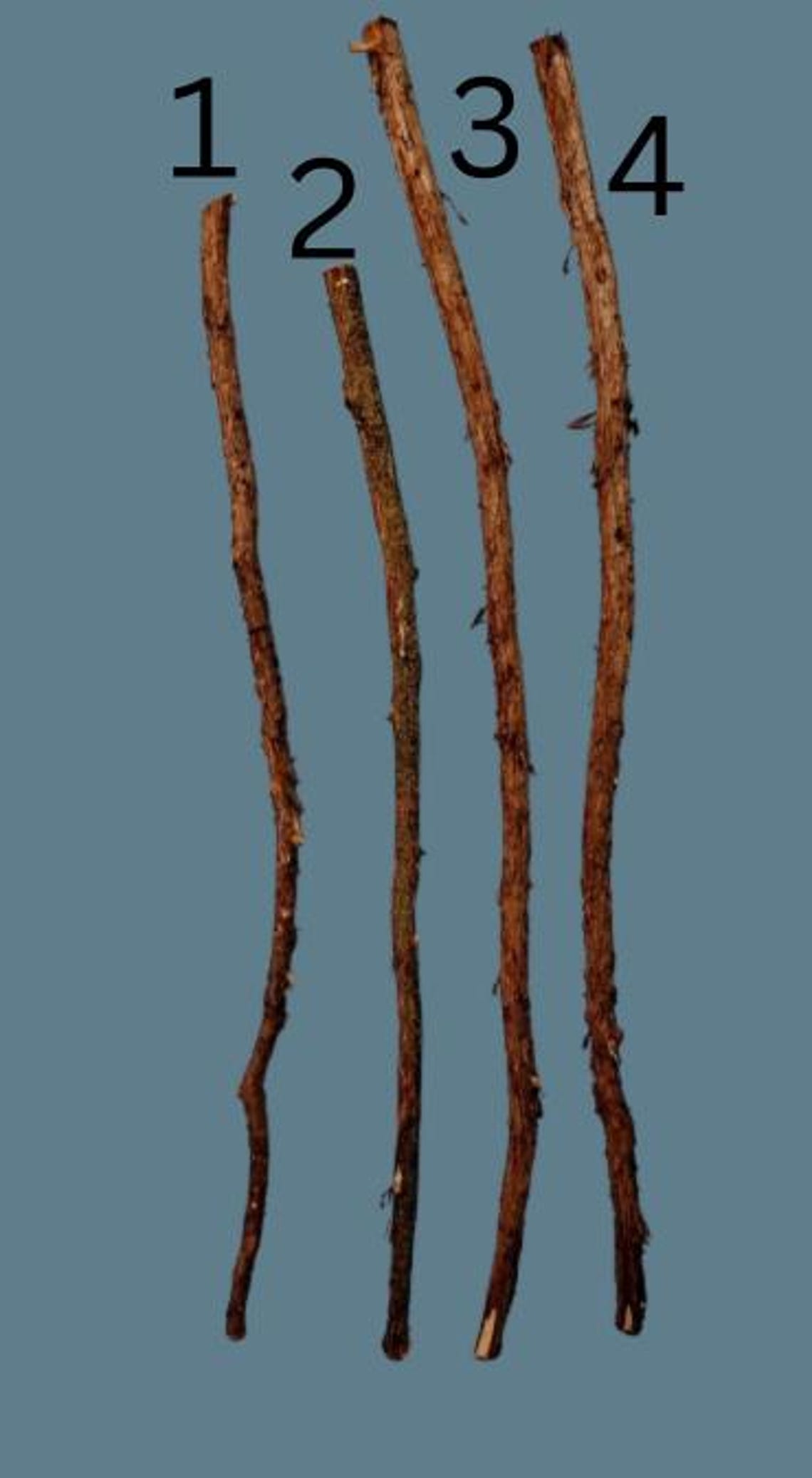 Cedar Walking Sticks / Cedar Decoration / Hiking Sticks - Etsy