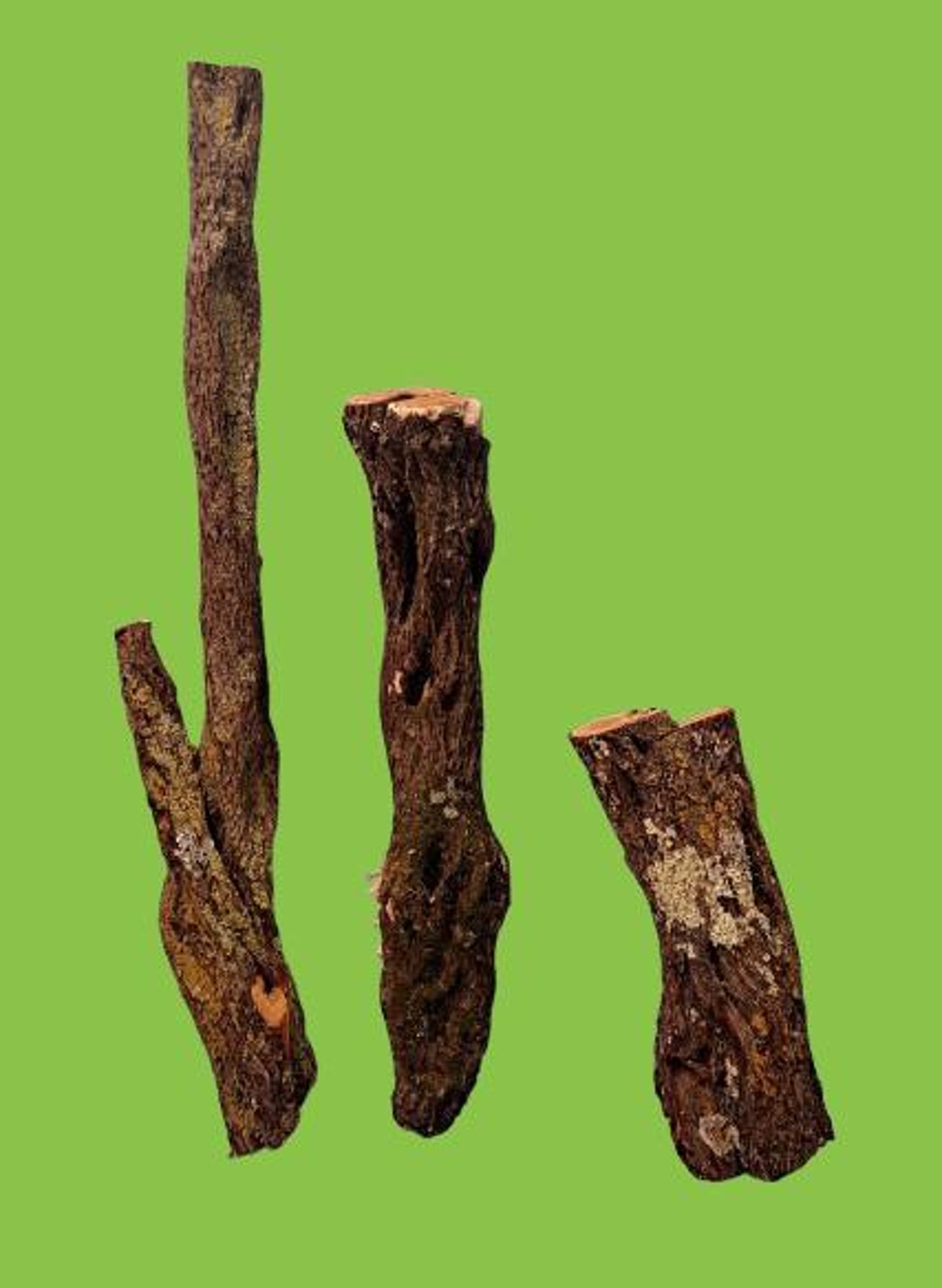 Diamond Willow Logs / Peices - Etsy