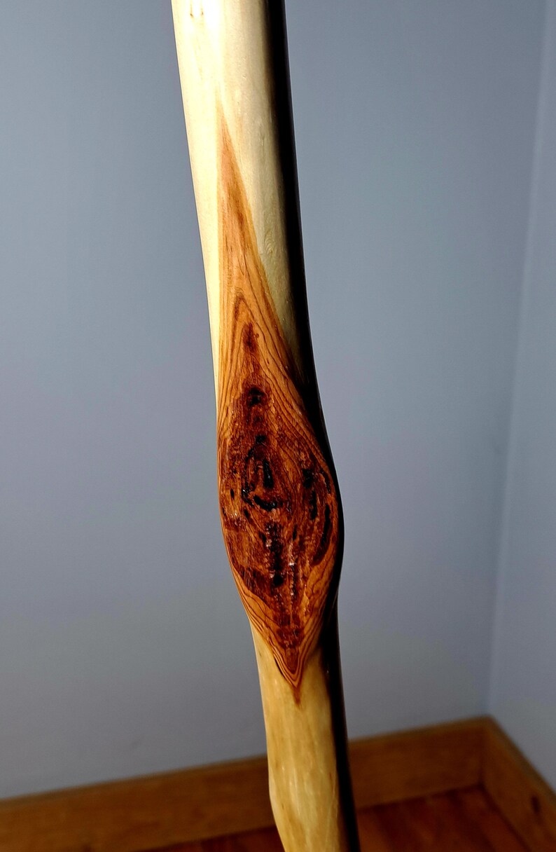 Diamond Willow Walking Stick - Etsy