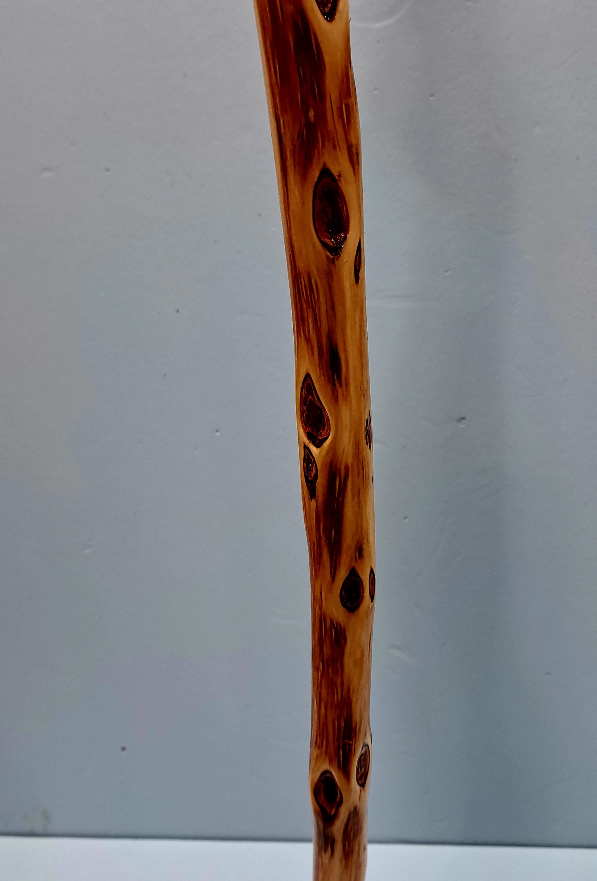 Diamond Willow Walking Stick, Hiking Stick, Walking Staff, Gift for Him ...